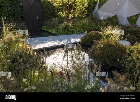 Modern Garden With A Path Small Garden Pond Water Feature Contemporary