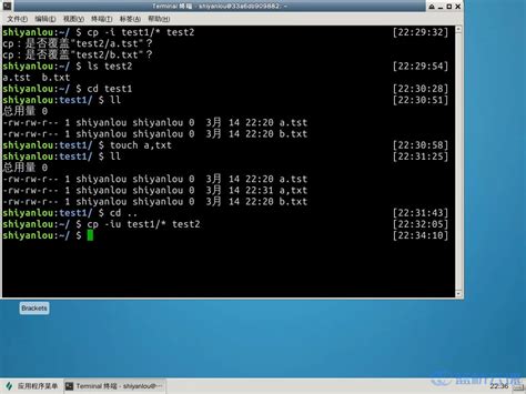 Linux操作命令二 蓝桥云课