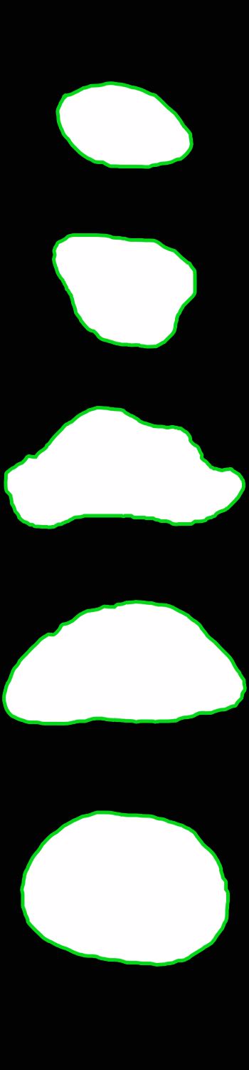 Images Rendered By The Proanalyst Software Using Experimental High