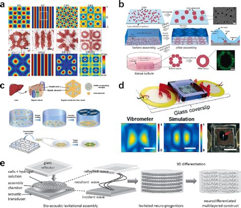 Sub Mhz Acoustic Patterning Via Different Types Of Waves A
