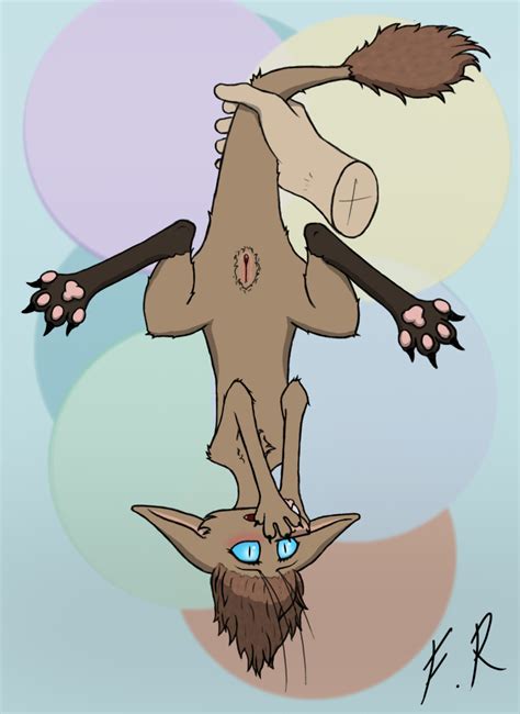 Rule 34 Animal Genitalia Blue Eyes Blush Brown Body Cloaca Female