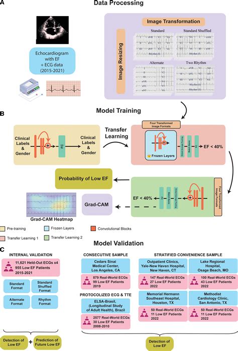 Detection Of Left Ventricular Systolic Dysfunction From Electrocardiographic Images Circulation Detection Of Left Ventricular Systolic Dysfunction From Electrocardiographic Images Circulation