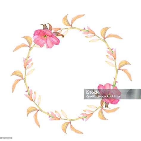 수채화 손 페인트 자연 원 테두리 프레임 빨간 장미 꽃과 나뭇잎 꽃다발에 꽃다발 0명에 대한 스톡 벡터 아트 및 기타 이미지 0명 가문비나무 겨울 Istock