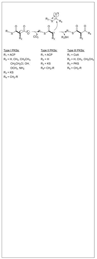 Biosynthesis Of Polyketide Synthase Extender Units Pmc