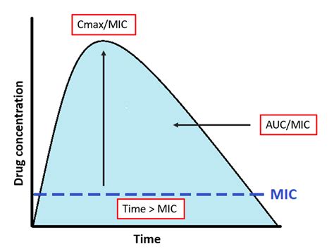 Curve Your Enthusiasm Auc Guided Vancomycin Dosing And Monitoring