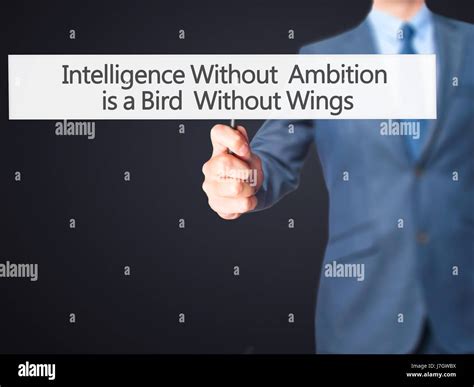 Intelligence Without Ambition Is A Bird Without Wings Businessman Hand Holding Sign Business