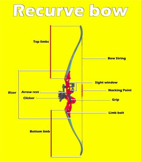 Compound Bow String Diagram