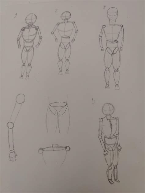 I Took A Day Off Yesterday Because Of School This Is Day 2 Trying To Draw The Basic Anatomy