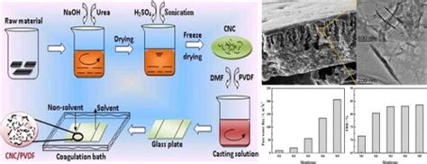 亲水纤维素纳米晶改性pvdf超滤膜防污性能的提高applied Surface Science X Mol