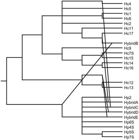 The Genealogical World Of Phylogenetic Networks Using Networks Not Trees To Display Hybrids