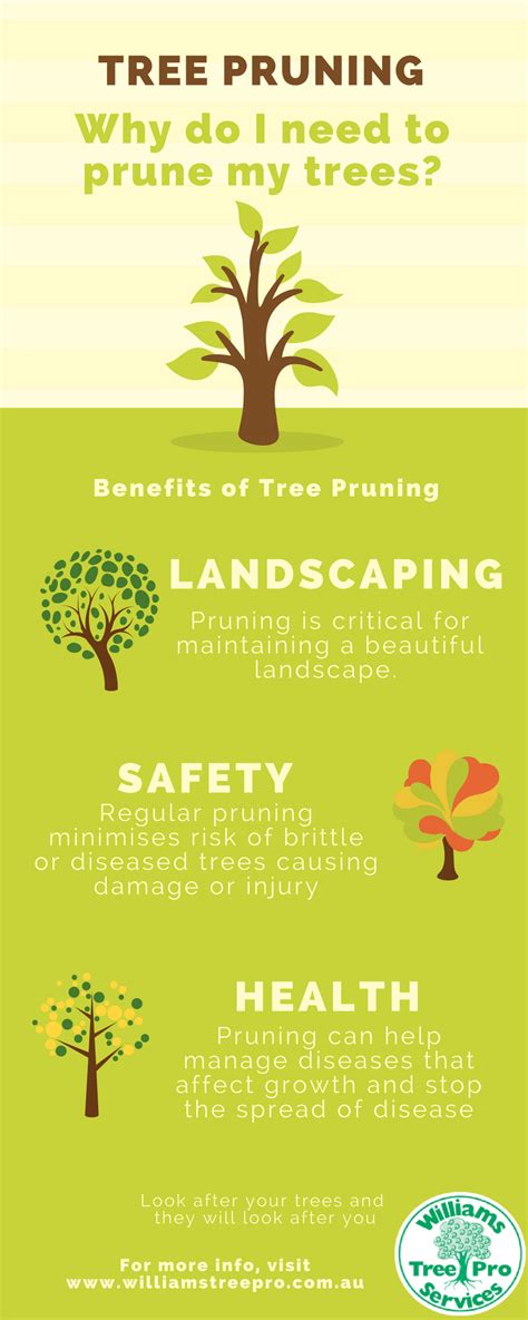 Tree Pruning Services Perth Williams Tree Pro