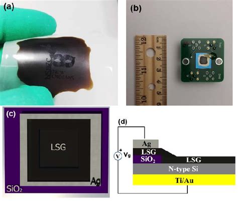 Figure 1 From Total Ionizing Dose Effects On A Graphene X Ray Detector Laser Scribed From