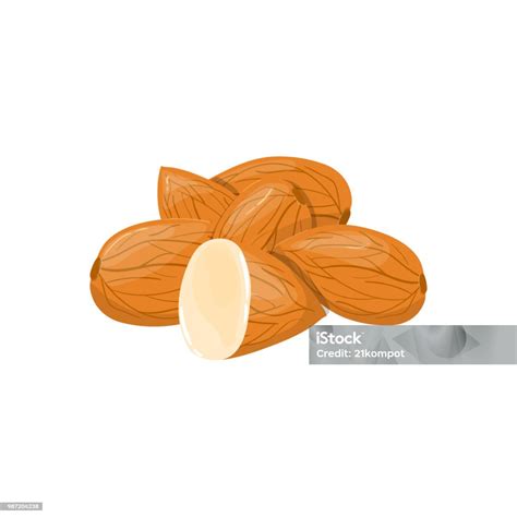 근접 촬영 아몬드 벡터 아이콘입니다 건강 한 먹는 만화 그림 견과류 흰색 배경에 고립의 그룹 0명에 대한 스톡 벡터 아트 및 기타 이미지 Istock