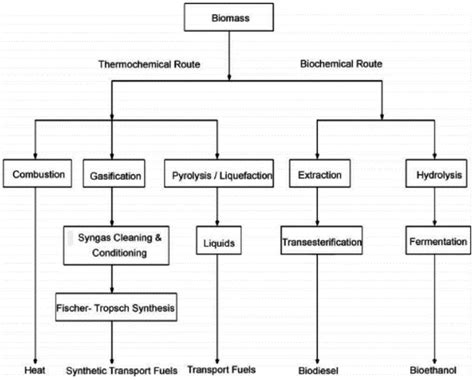 Thermochemical And Biochemical Biomass Conversion Technologies 26