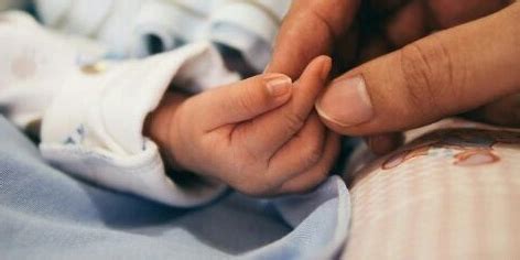 การใชงาน Polyglot notebook กบ Python DEV Community