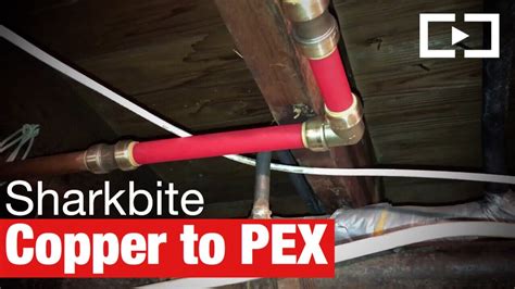 How To Fix A Copper Pipe Leak At The Joint At Jamie Spinelli Blog