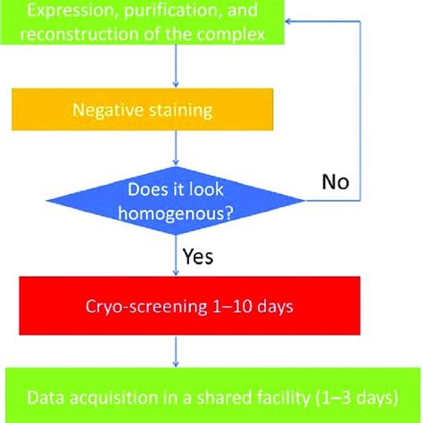 A Schematic Flowchart Describing The Approach For Structural Analysis Download Scientific