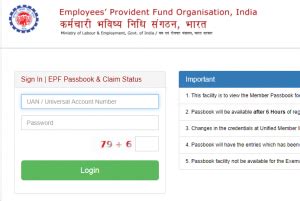 How To Check PF Balance Online Via Epfindia Gov In Onlineservicess