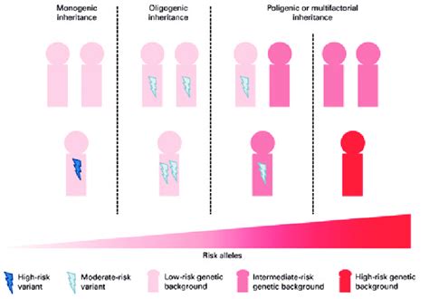Inheritance Patterns Of Autism Spectrum Disorder Download Scientific