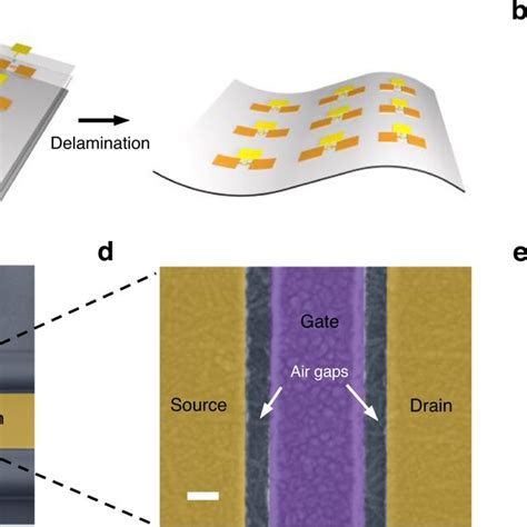 Cnt Tfts Fabricated On A Flexible Parylene Substrate A Schematic