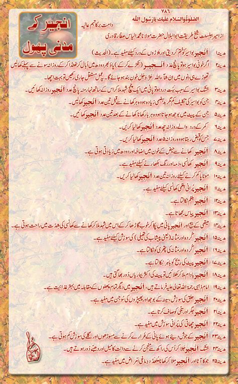 Faizan E Sunnat Madani Phool