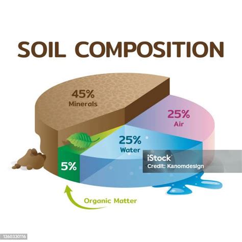 Ilustración De Estructura De Composición Del Suelo Etiquetada Como