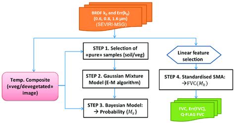 Flow Chart Of The Stochastic Smm Algorithm For Fvc Determination