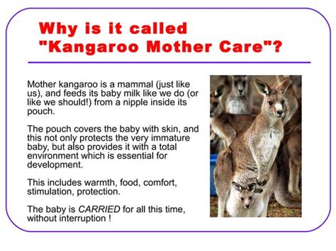 Kangaroo Method Ppt