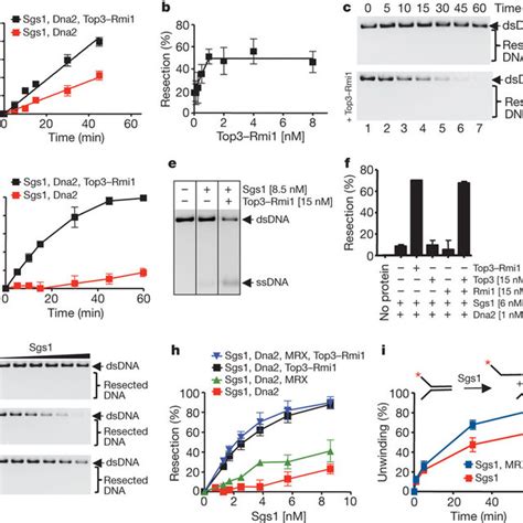 Pdf Dna End Resection By Dna2 Sgs1 Rpa And Its Stimulation By Top3