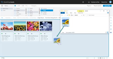 Uploading Files Using Assets Home