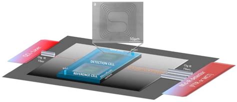 Optical Waveguide Refractive Index Sensor For Biochemical Sensing