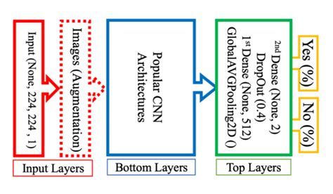 Adopted Transfer Learning Architecture For The Classification Experiments Download Scientific