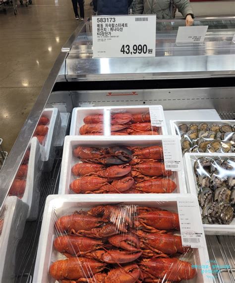 설 명절 선물 세트 Feat 코스트코 홀 세일 일산점 네이버 블로그