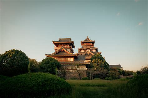 中田 絢子 🥳 Nakata Junko 10comnj Twitter