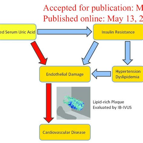 Schematic Images Explaining The Relationship Among Serum Uric Acid