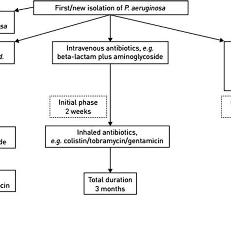 Pdf Bronchiectasis Management In China What We Can Learn From