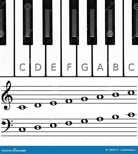With Piano And Note Names Octave