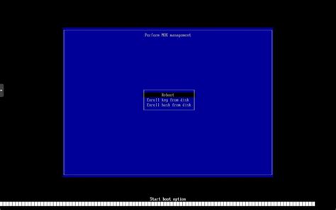 vGPU在Proxmox VE下的配置与使用 雪林荧光