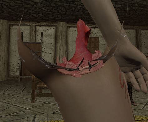 Project Unified Unp Page 3 Downloads Skyrim Adult And Sex Mods Loverslab