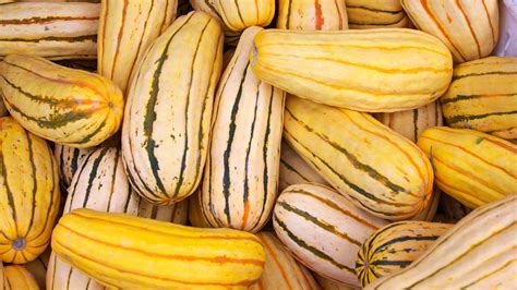 Delicata Squash May Be Your New Favorite Gourd Agri Exotic Trading