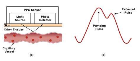 Heart Rate Sensor Technology EEWeb