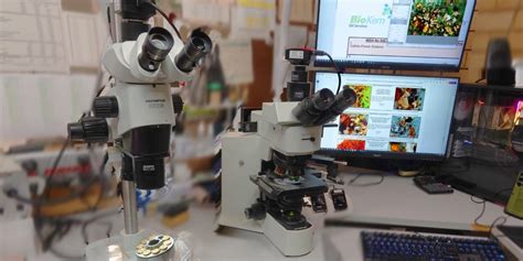 Condition Monitoring For Rotating Equipment Biokem