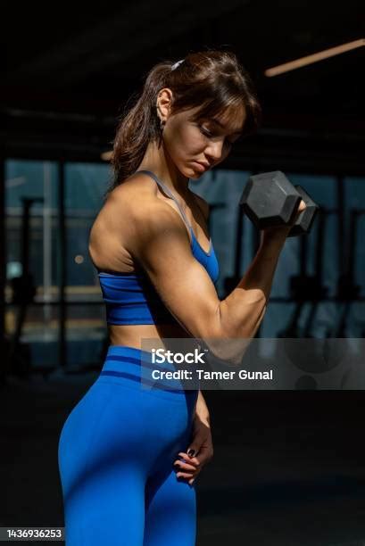 체육관에서 피트니스 여자가 아령으로 운동하고 있다 운동 소녀 팔뚝 20 29세에 대한 스톡 사진 및 기타 이미지 20 29세 건강한 생활방식 근육 Istock