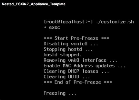 Leveraging Instant Clone In VSphere 6 7 For Extremely Fast Nested ESXi Provisioning