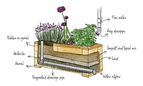 Understanding Sustainable Drainage Systems Suds Greenwood Plants