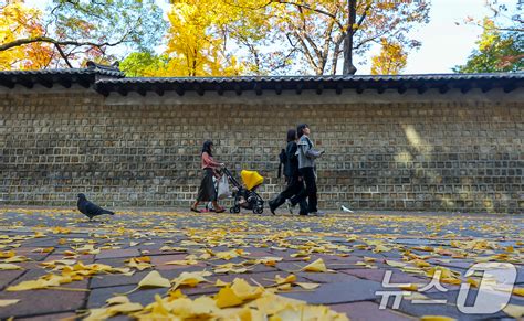 가을 엔딩 앞둔 덕수궁 뉴스1