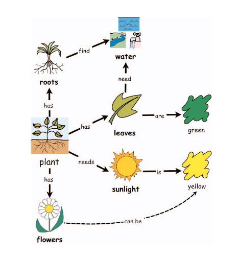 Concept Of Definition Map Sarah Sanderson Science