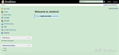 jenkins使用 知乎