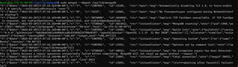 Mongodb Repair Problem Ops And Admin Mongodb Developer Community Forums