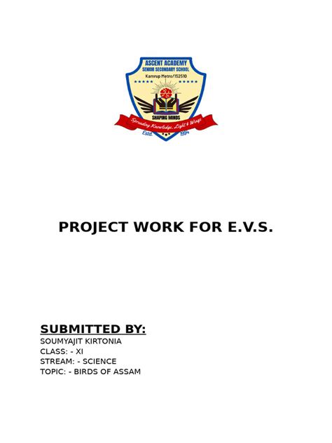 Evs Project Pdf